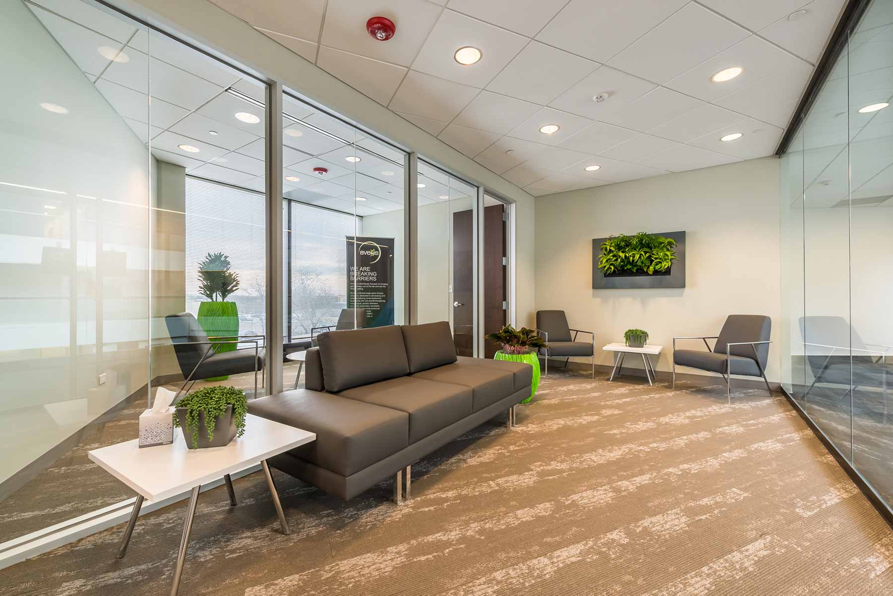 Avexis - Interwork Architects